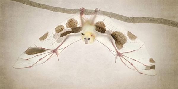 Ken Drake named as Queensland's Top Professional Photographer - Photo ...