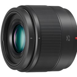 Panasonic Lumix 25mm f/1.7 ASPH. lens - Photo Review