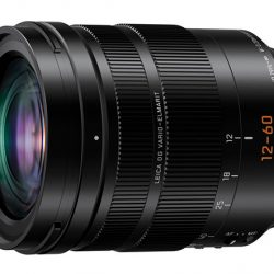 Panasonic Leica DG Vario-Elmarit 12-60mm f/2.8-4.0 ASPH. POWER O.I.S ...