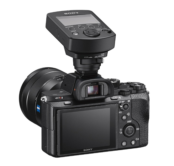 New Sony lighting system and 50mm prime lens - Photo Review