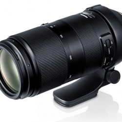 Tamron 100-400mm lens available mid-November - Photo Review