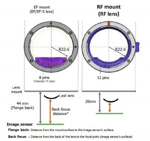 Canon EOS R - Photo Review