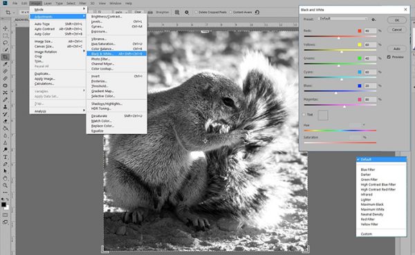 Monochrome photo printing tips - Photo Review