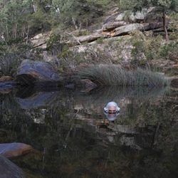 New Liam Benson exhibition at Artereal Gallery - Photo Review