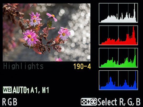 Using histograms to gauge exposures - Photo Review