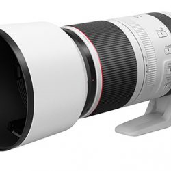 Canon RF 100-500mm f/4.5-7.1L IS USM lens - Photo Review