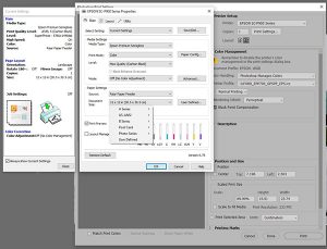 Epson SureColor SC-P906 - Photo Review