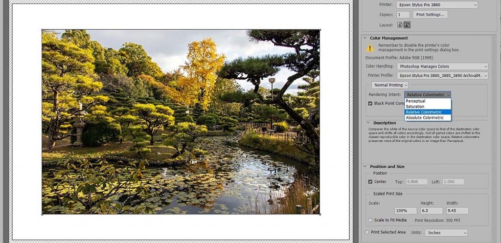 Output - Photo Review