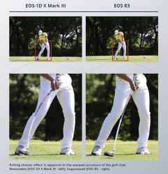 Canon EOS R3 - Photo Review