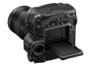 Nikon Z9 - Photo Review