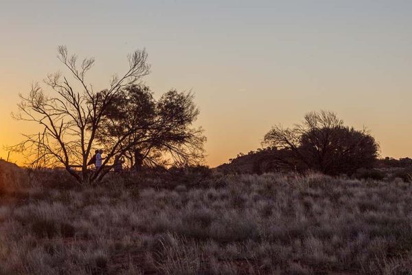 Focusing and exposure in low light levels - Photo Review