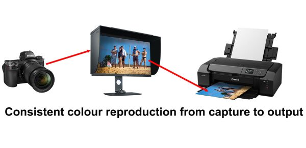 Output - Photo Review