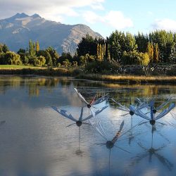 Distant focus - Photo Review