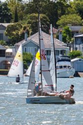 Telephoto and super-telephoto lens tips - Photo Review