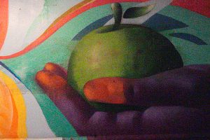 Sony α7C II (ILCE-7CM2) - Photo Review