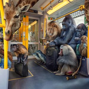 Colour fringing explained - Photo Review