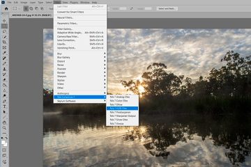 Nik Collection 7 - Photo Review