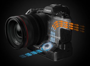 Canon EOS R5 Mark II - Photo Review
