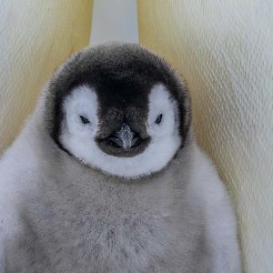 Colour fringing explained - Photo Review