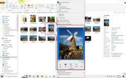 ACDSee Photo Studio Ultimate 2025 - Photo Review