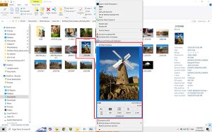 ACDSee Photo Studio Ultimate 2025 - Photo Review