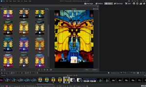 ACDSee Photo Studio Ultimate 2025 - Photo Review