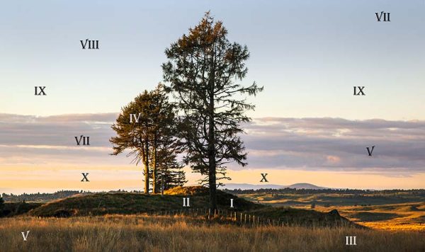 Ansel Adams’ classic Zone System - Photo Review