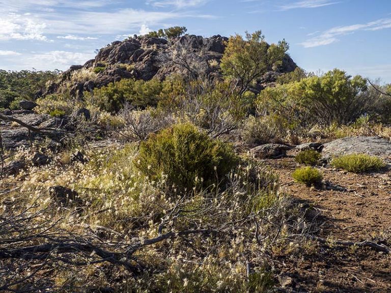 Ansel Adams’ classic Zone System - Photo Review