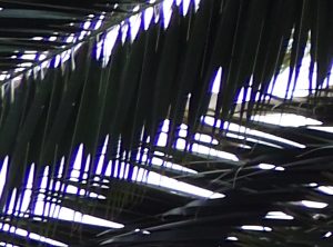 Fujifilm X-M5 - Photo Review