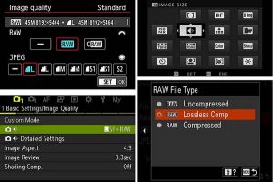 Camera settings for bird photos - Photo Review
