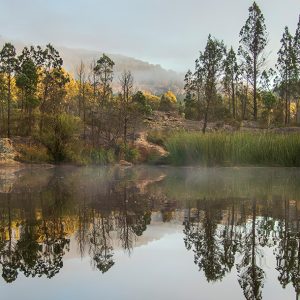 Distant focus - Photo Review