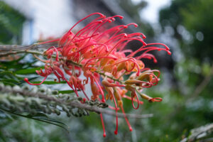 Fujinon XF 23mm f/2.8 R WR lens - Photo Review